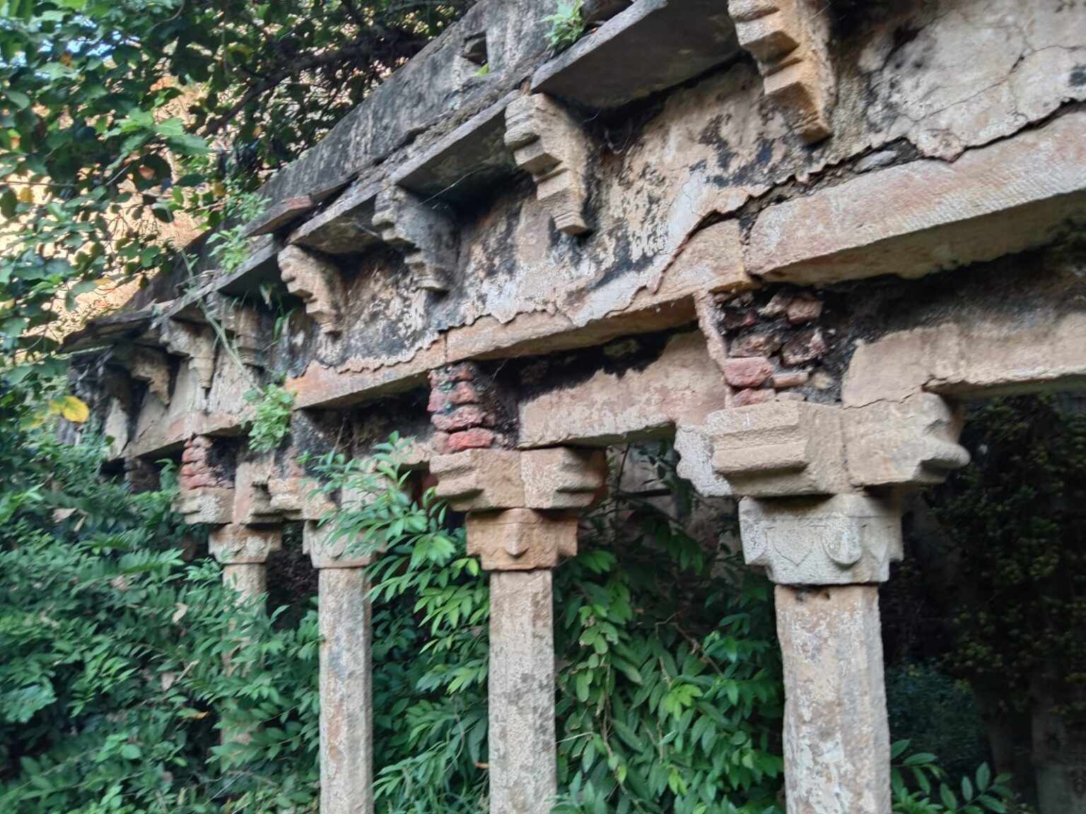 The Kol Tribe of Madhya Pradesh – Kol Tribe